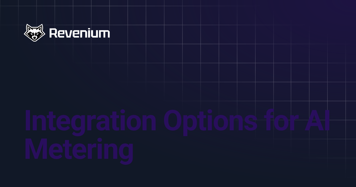 Integration Options for AI Metering | Revenium Developer Docs