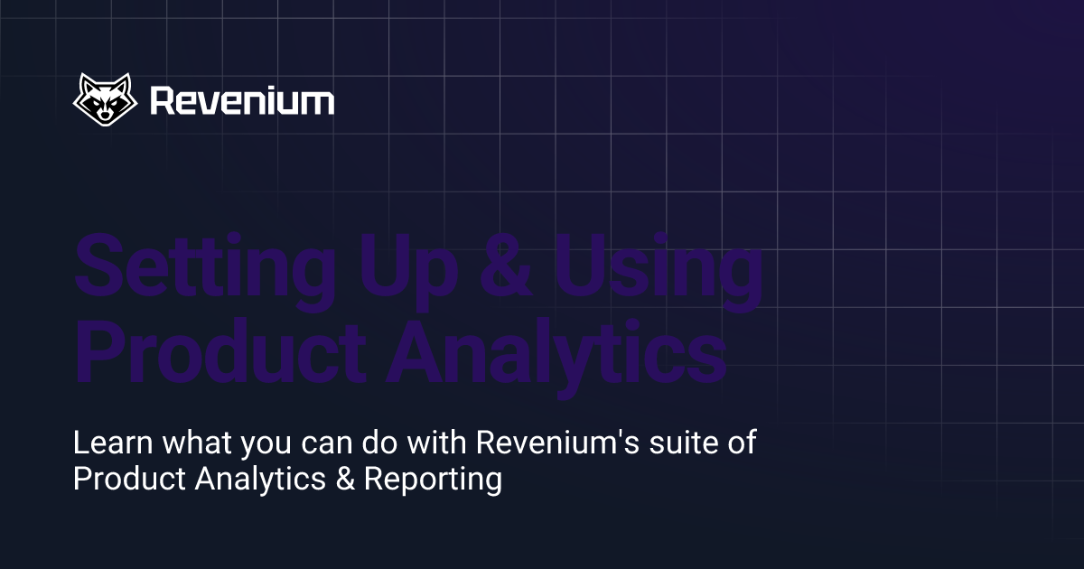 Setting Up & Using Product Analytics | Revenium Developer Docs